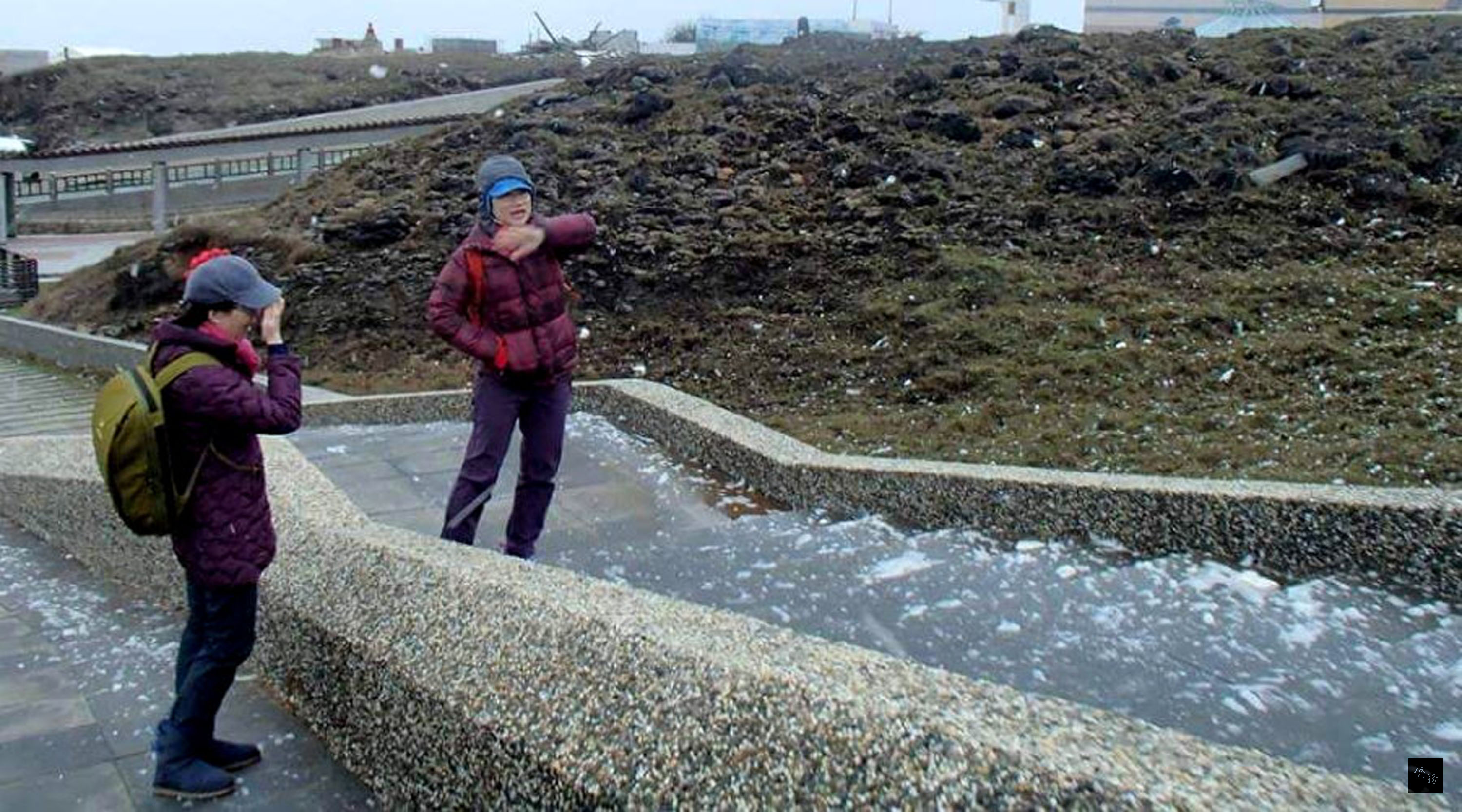 Snow around Taiwan wows locals |English News | 僑務電子報